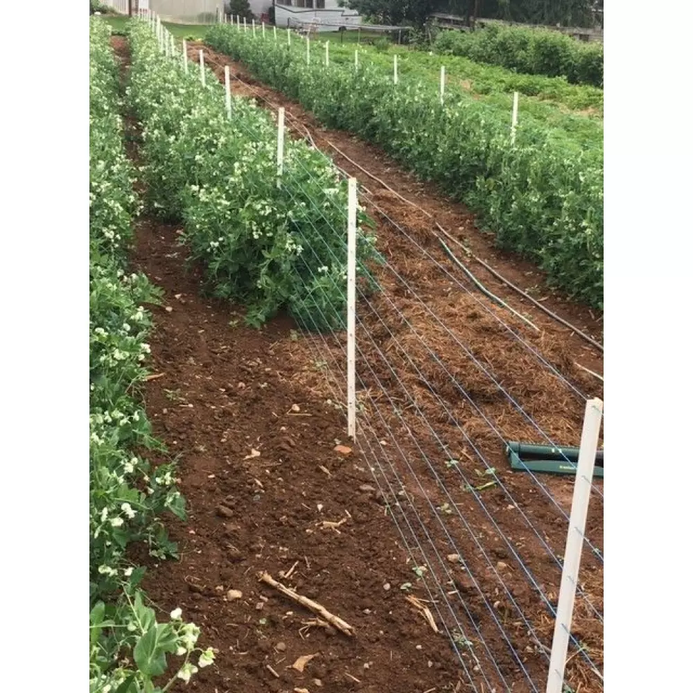 Timeless Fence Systems & Accessories | Long-Lasting Fencing